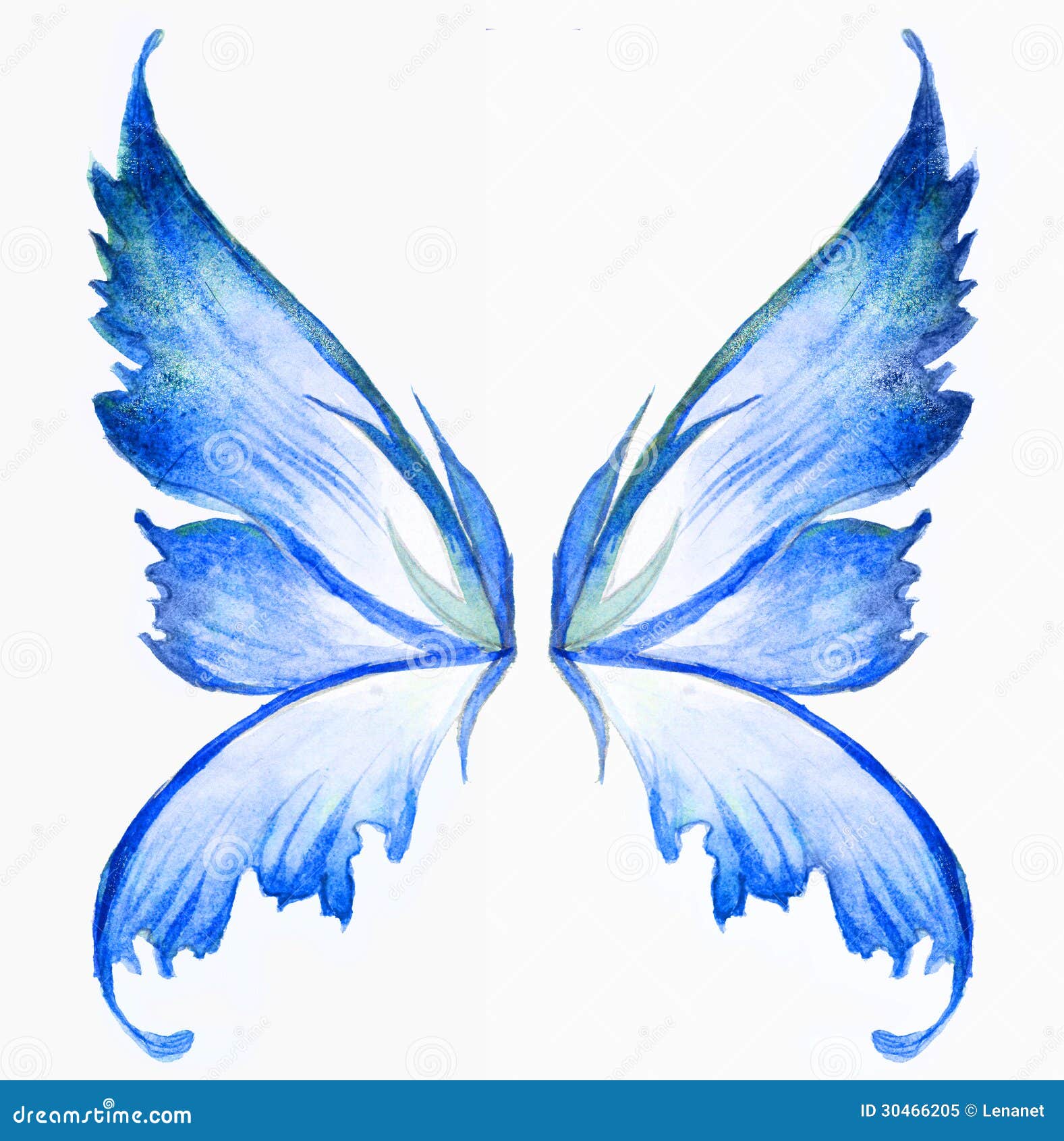 Alas De Hada Vista Lateral Azul Imagen Gratis: Ilustración De Cara De