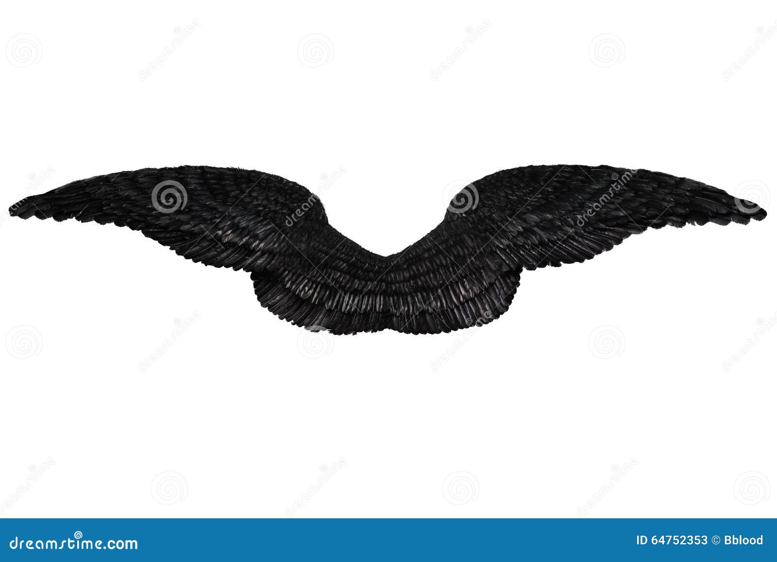 Alas negras en blanco imagen de archivo. Imagen de libertad - 64752353