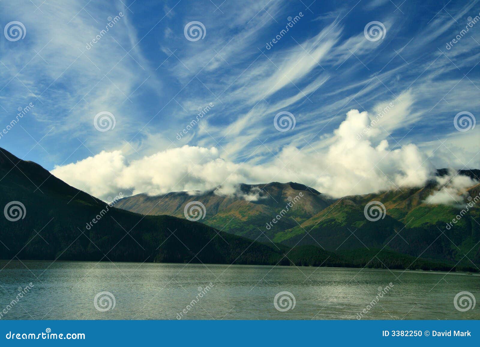 Alaska stock photo. Image of landscape, trees, ocean, view - 3382250