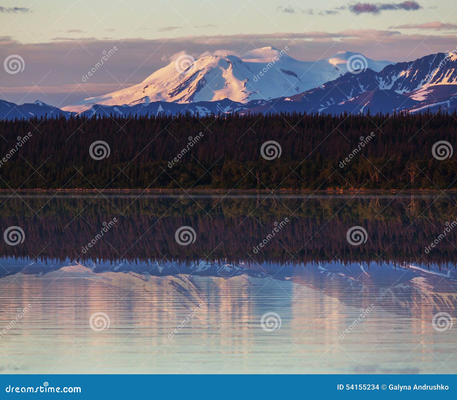 Alaska stock photo. Image of wild, woods, national, hills - 54155234