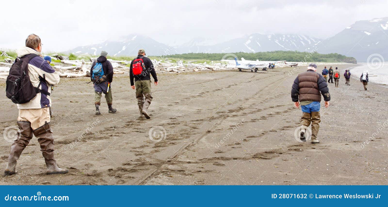Alaska Bear Viewing Group Planes Hallo Bay Editorial Photography ...