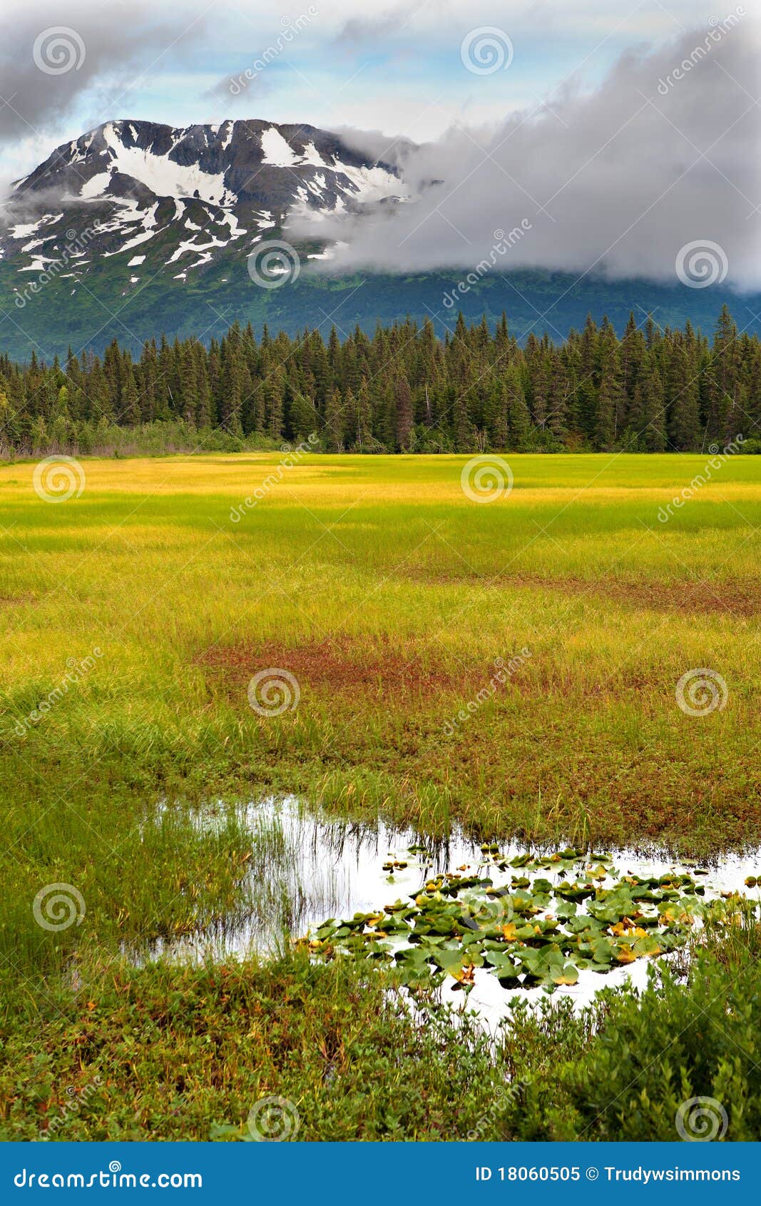 Alaska Beauty, Marsh and Mountains Stock Image - Image of alaska ...