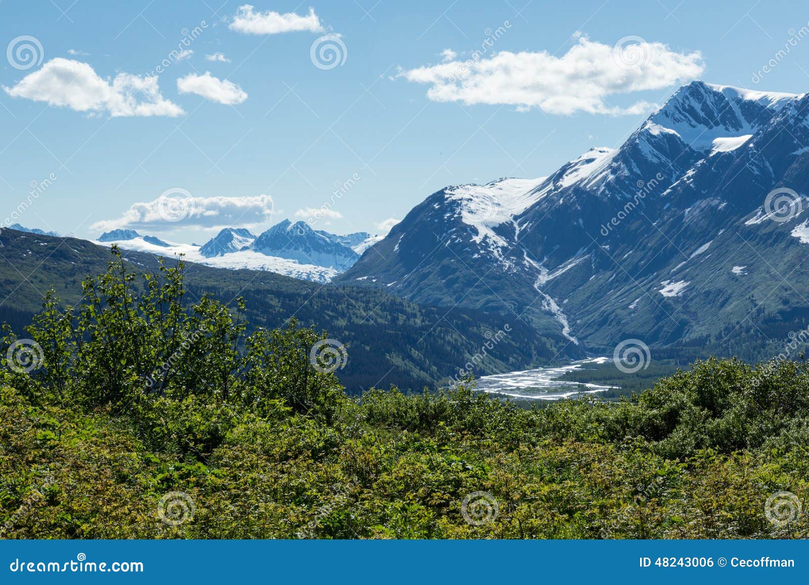 Alaska berg arkivfoto. Bild av borsta, vildmark, semester - 48243006
