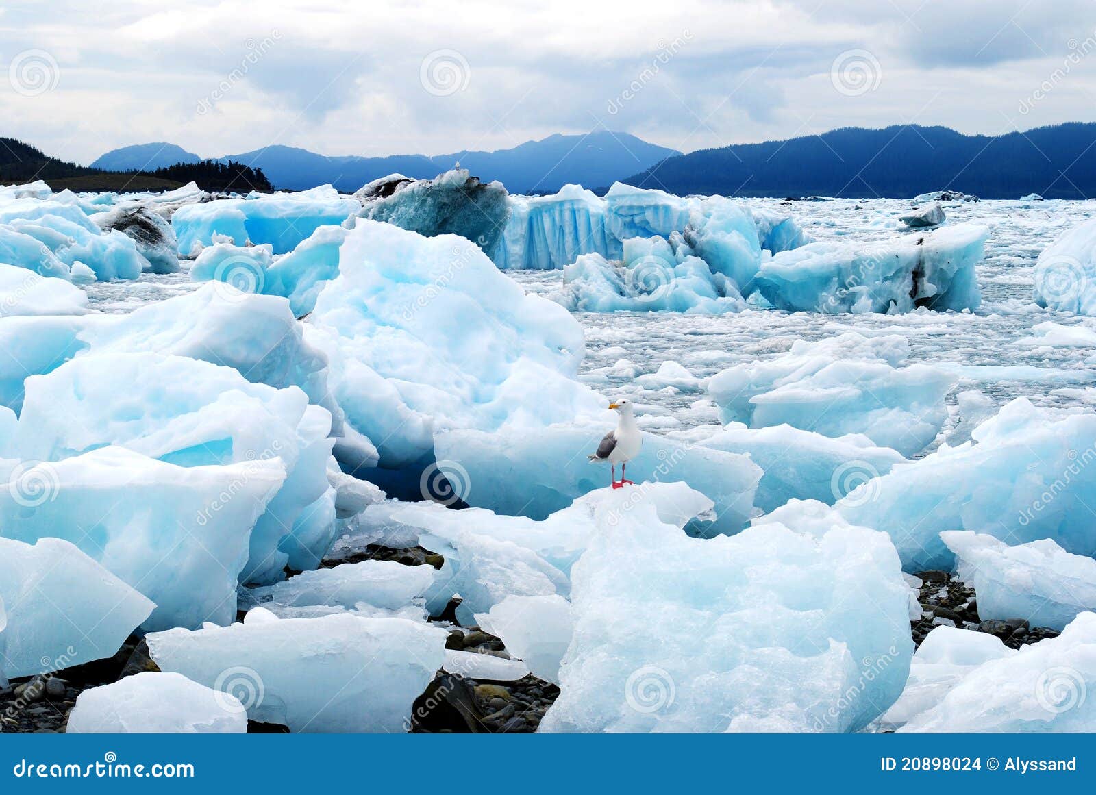 Alaska-Eis-Schacht stockfoto. Bild von kajak, eisberge - 20898024