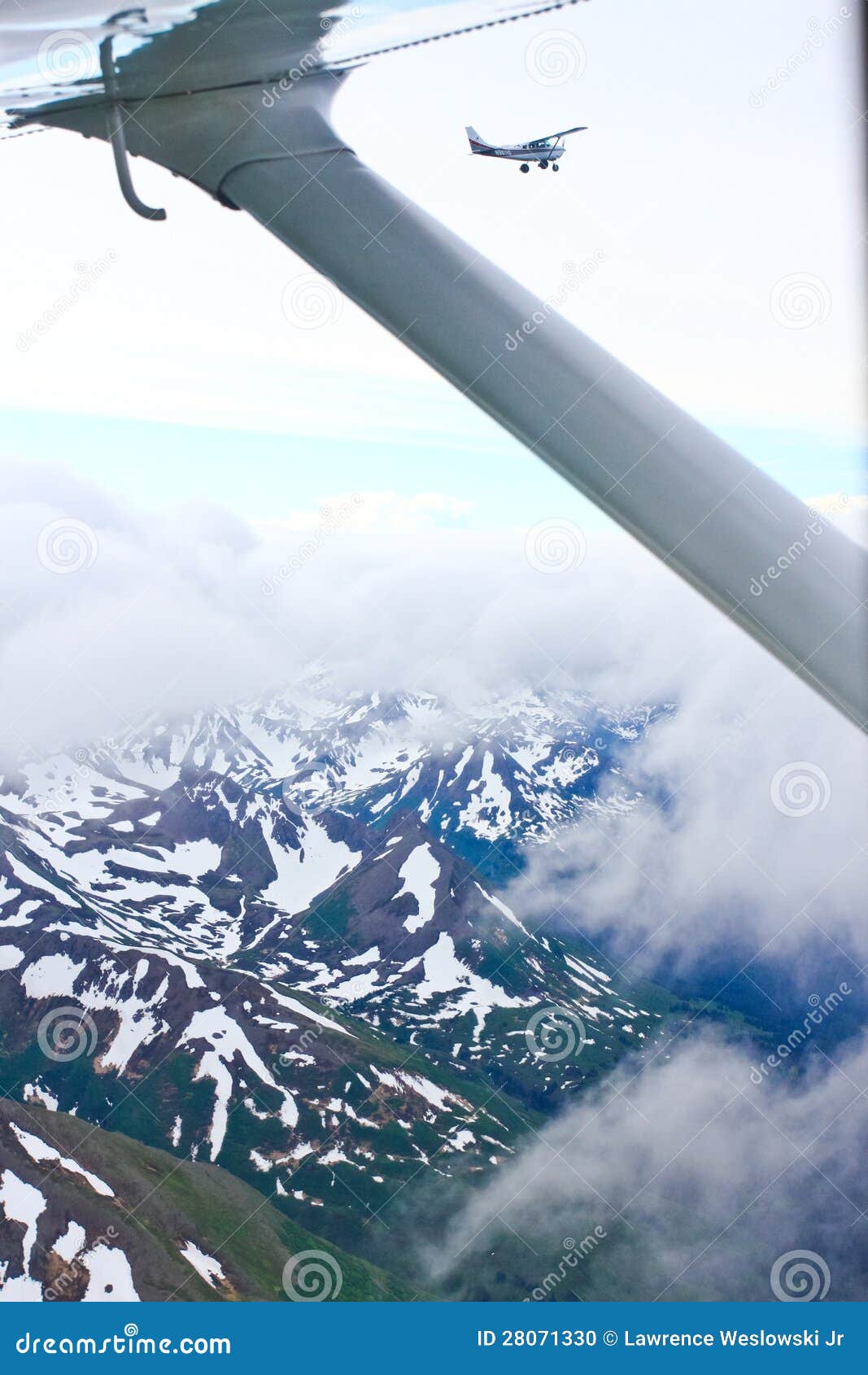 Flying Small Airplane On A Forest Background Editorial Photo ...