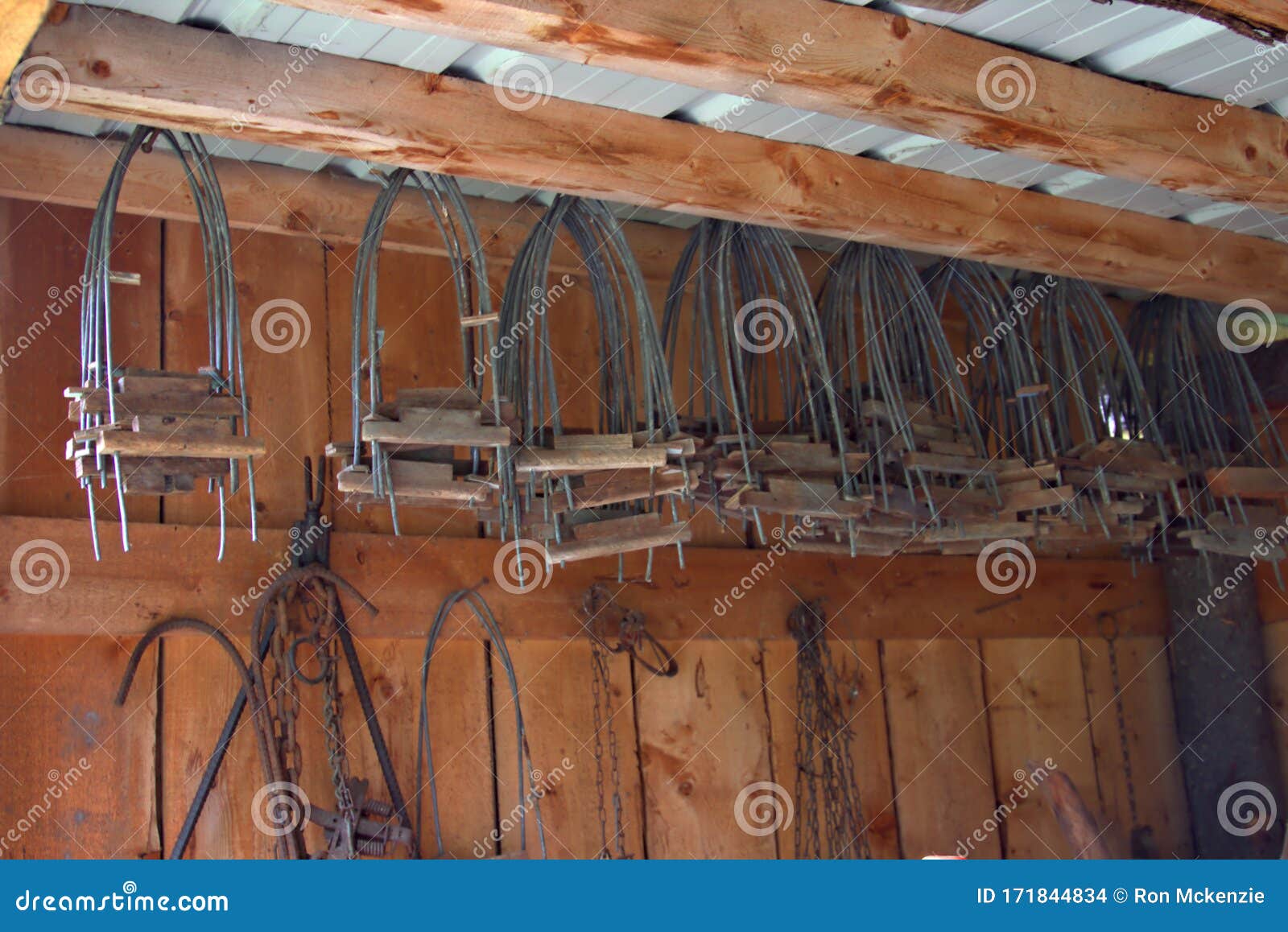 Alaska fur trapping frames stock photo. Image of water - 171844834