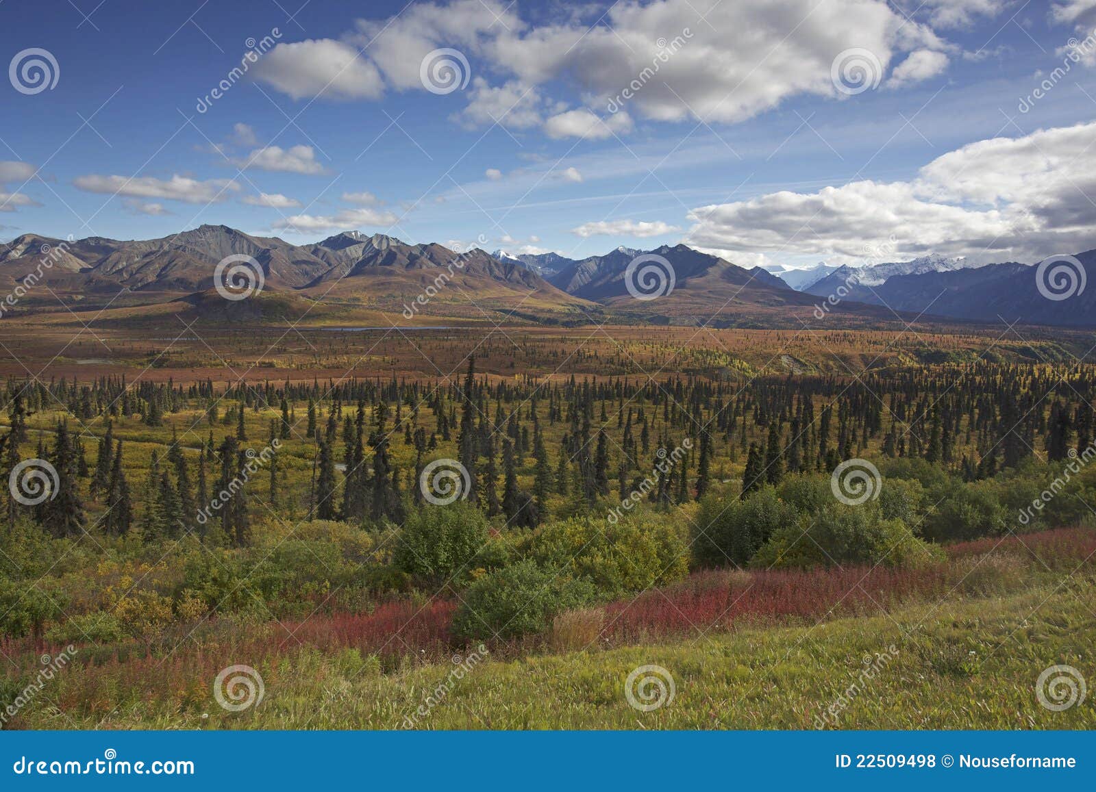 Alaska Glenn Highway in Autumn Stock Photo - Image of climbing, denali ...