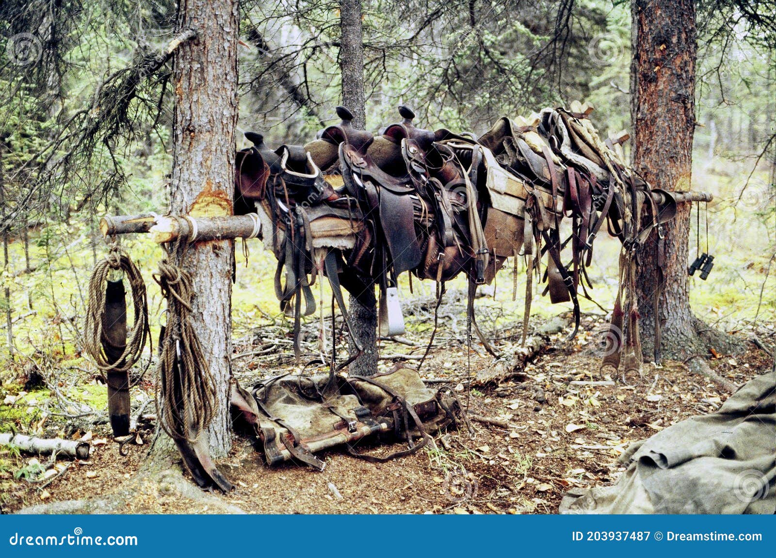 Saddle rack stock image. Image of hunting, person, rack - 203937487