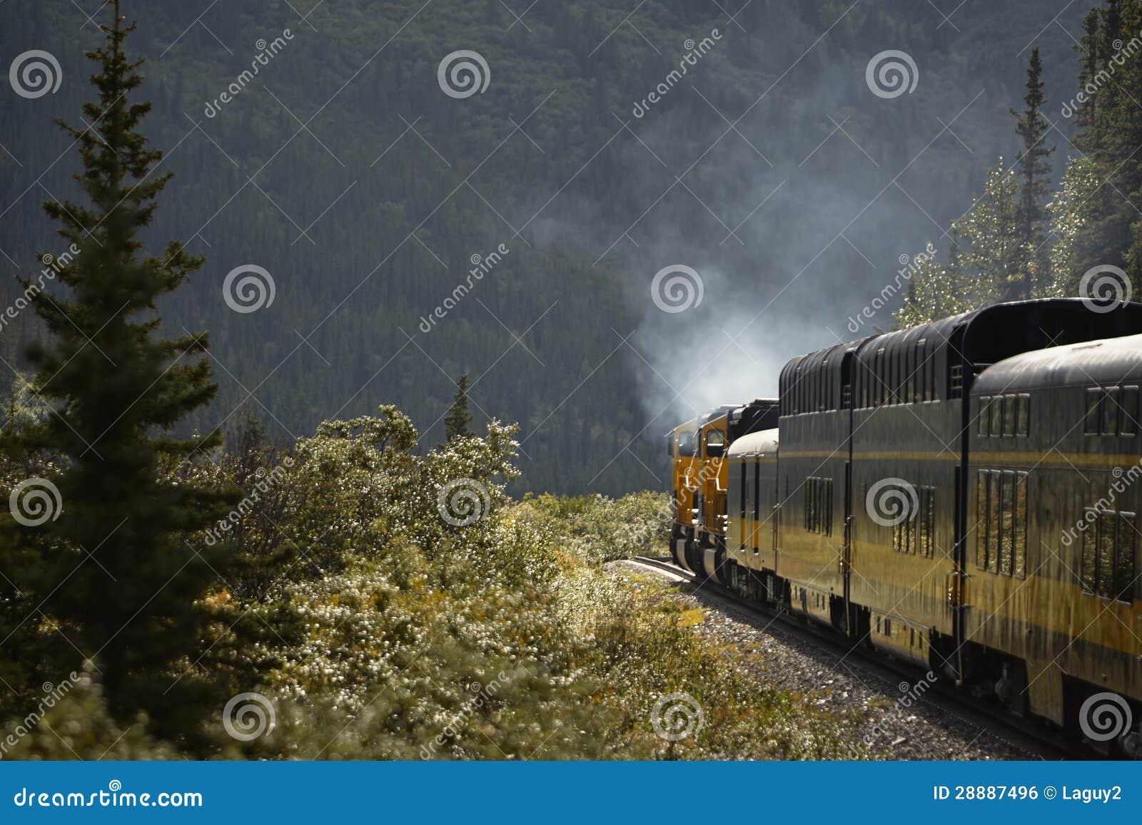Alaska Interior Transportation by Train Stock Photo - Image of national ...