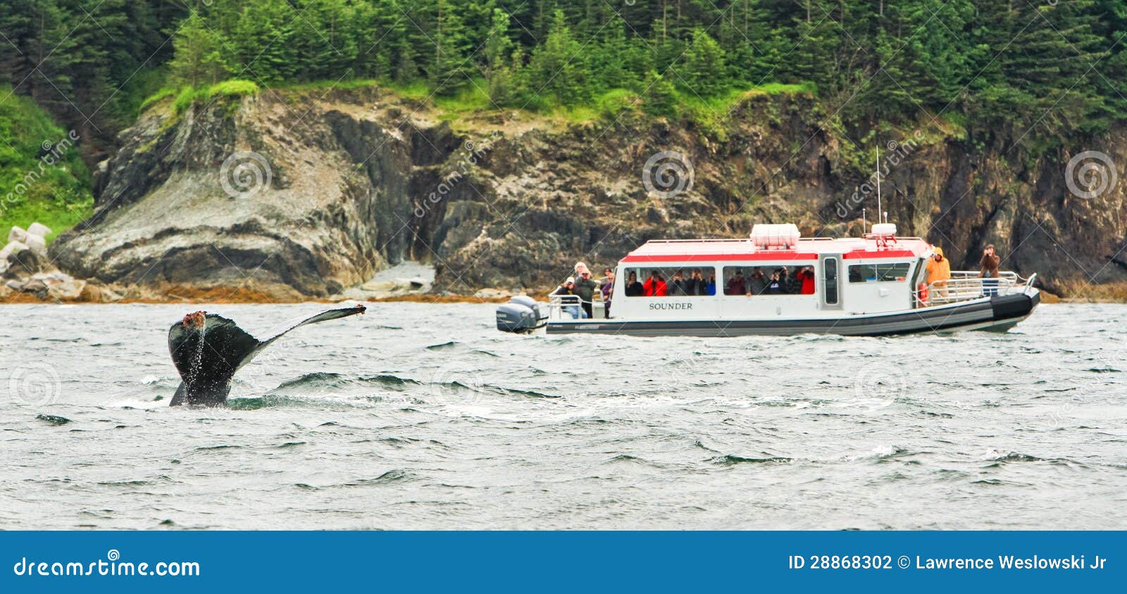 Alaska - Kleine Boot, De Staart Van De Walvis Redactionele Fotografie ...