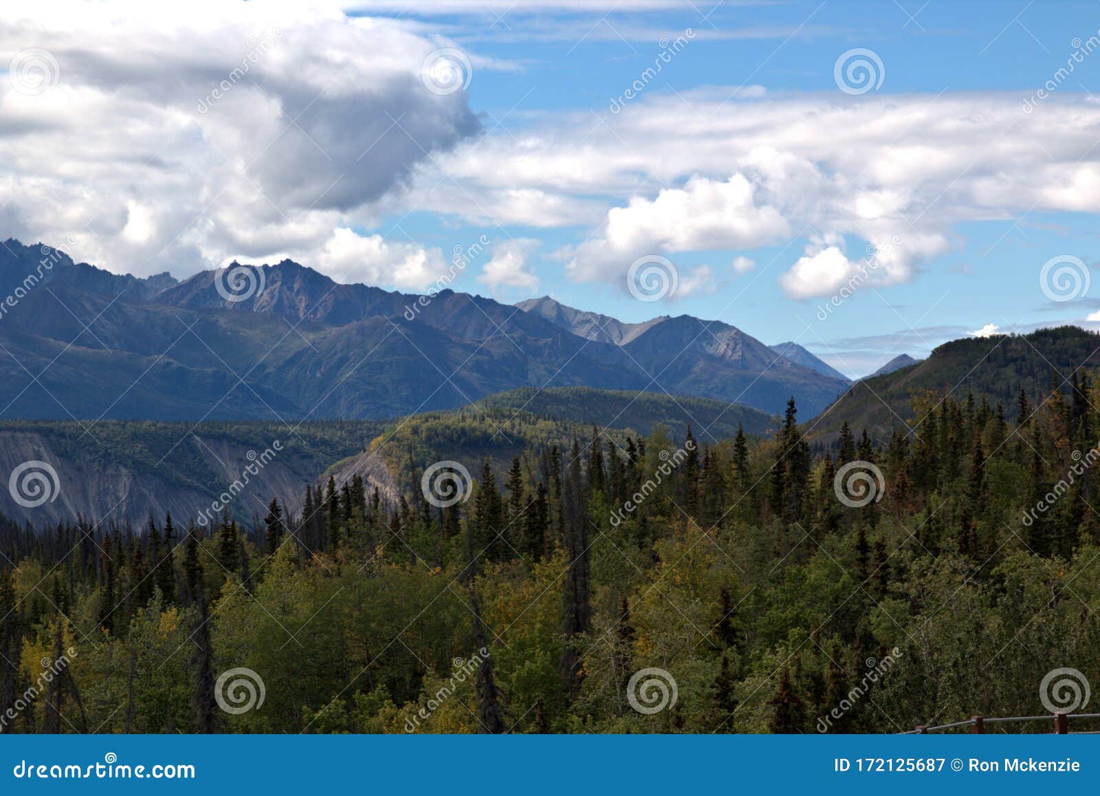Alaska Landscape stock image. Image of coast, evergreen - 172125687