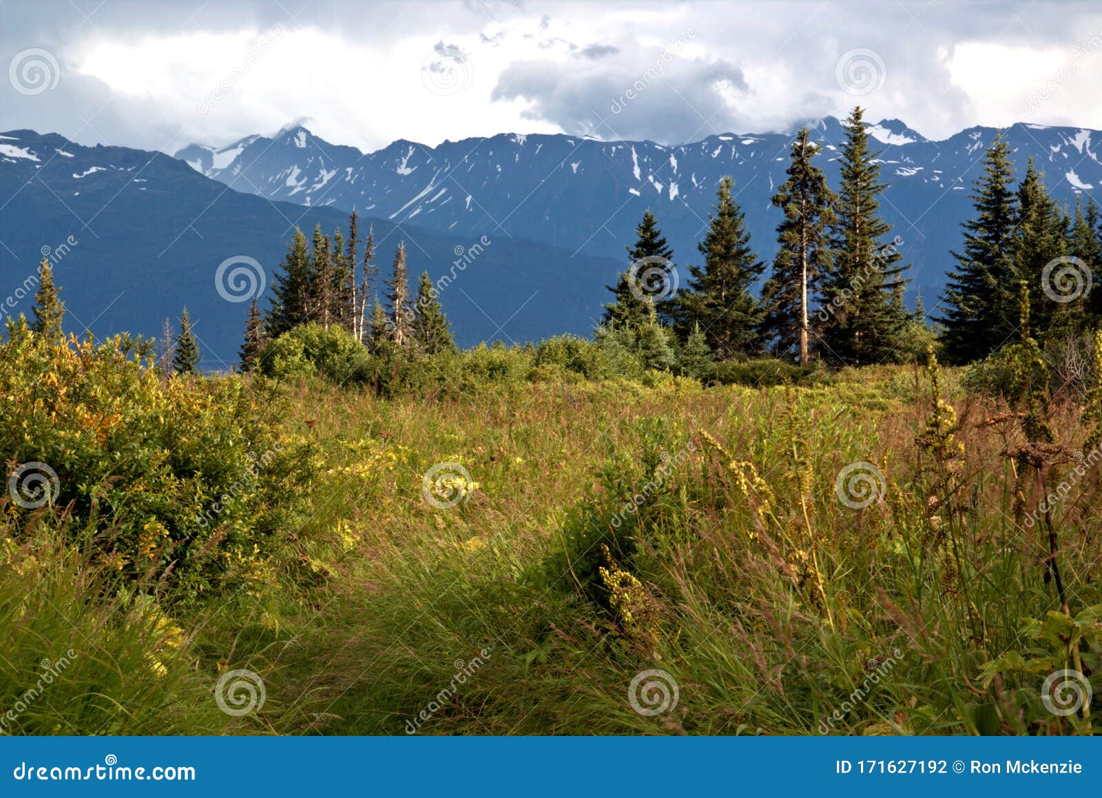 Alaska Meadows and Mountains Stock Photo - Image of america, panorama ...