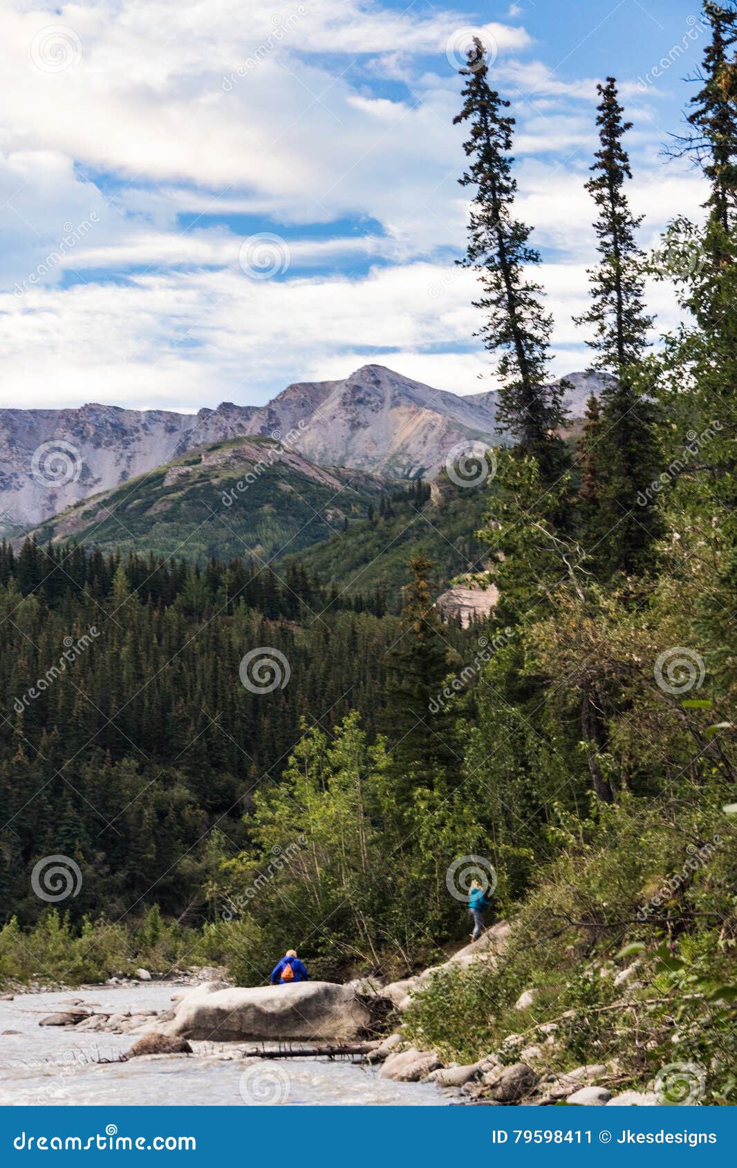 Alaska Mountain Range from Denali Stock Image - Image of point, hiking ...