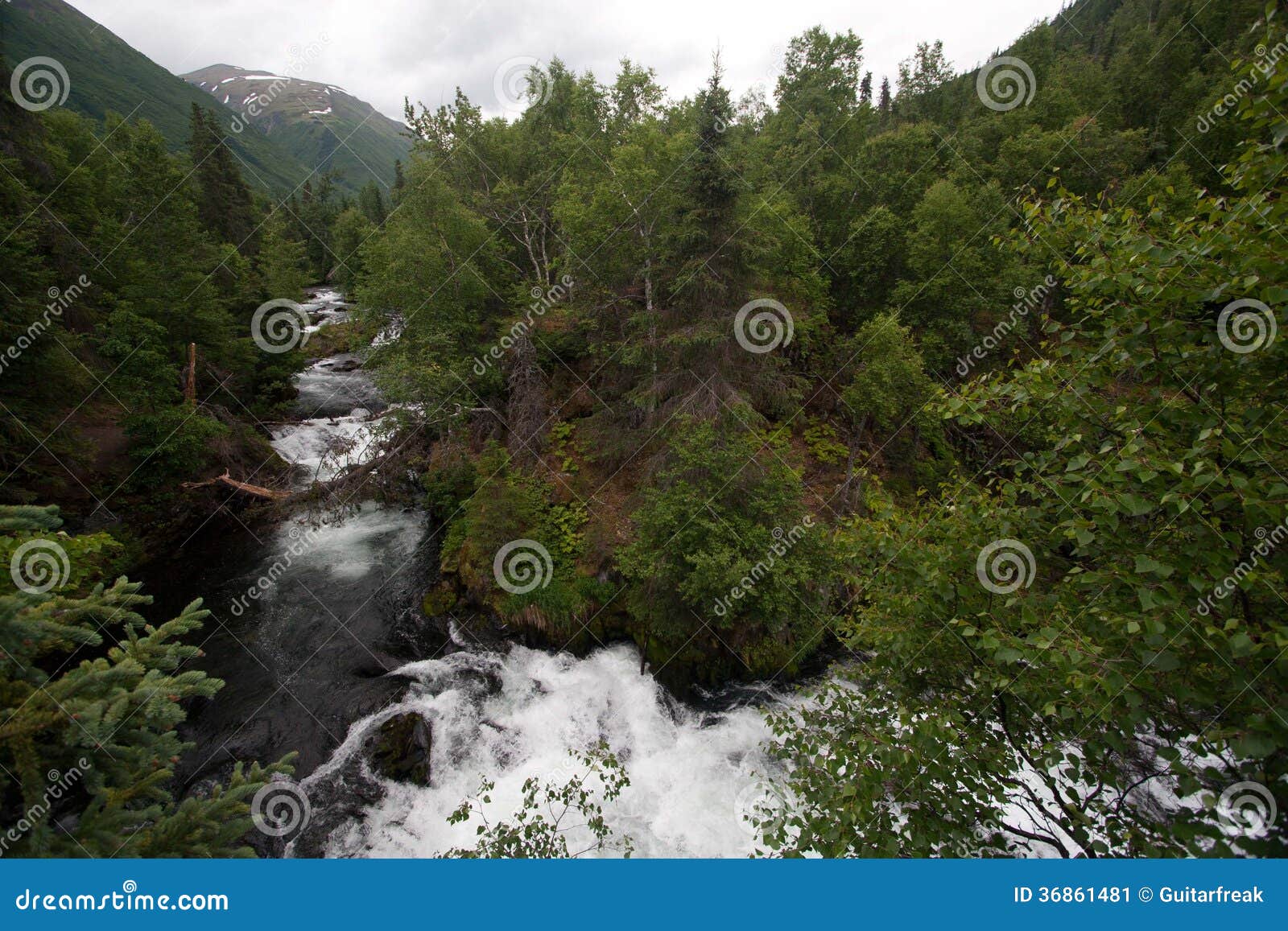 Alaska Mountain River stock image. Image of green, nature - 36861481