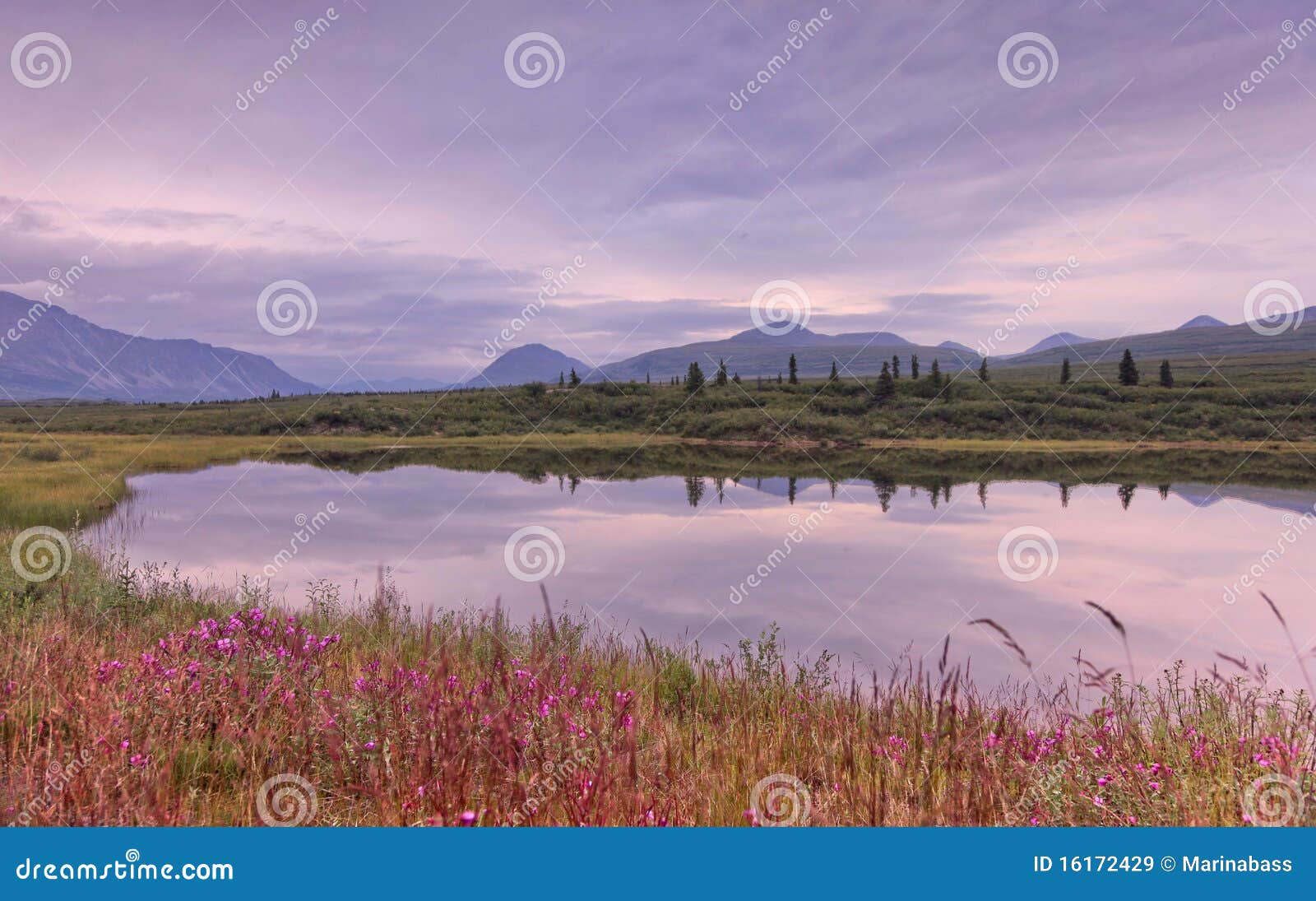 Alaska: Mountan Lake Reflection Stock Image - Image of mountain ...