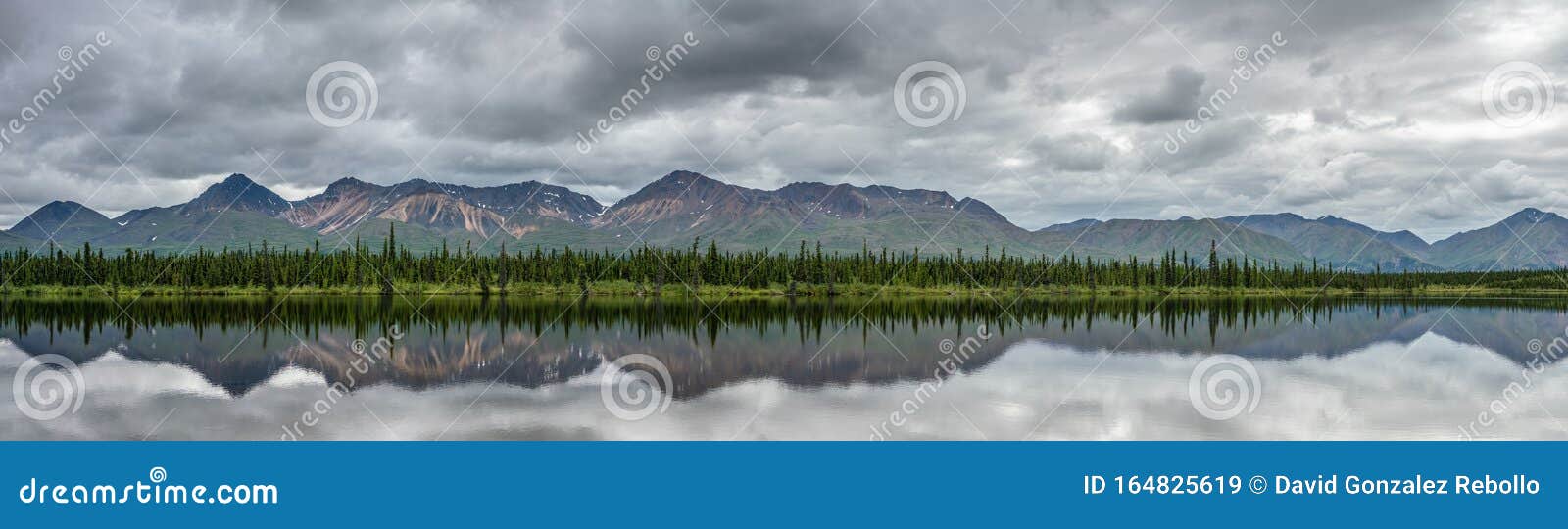 Alaska Pine Tree Forest Reflection on a Lake 32:9 Ultrawide Stock Image ...