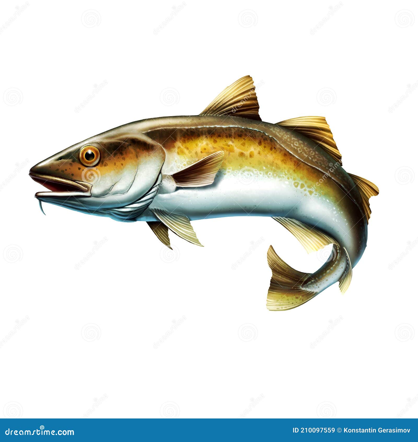 Alaska Pollock, Mintai Fish Jumping Out of Water Illustration Isolate ...
