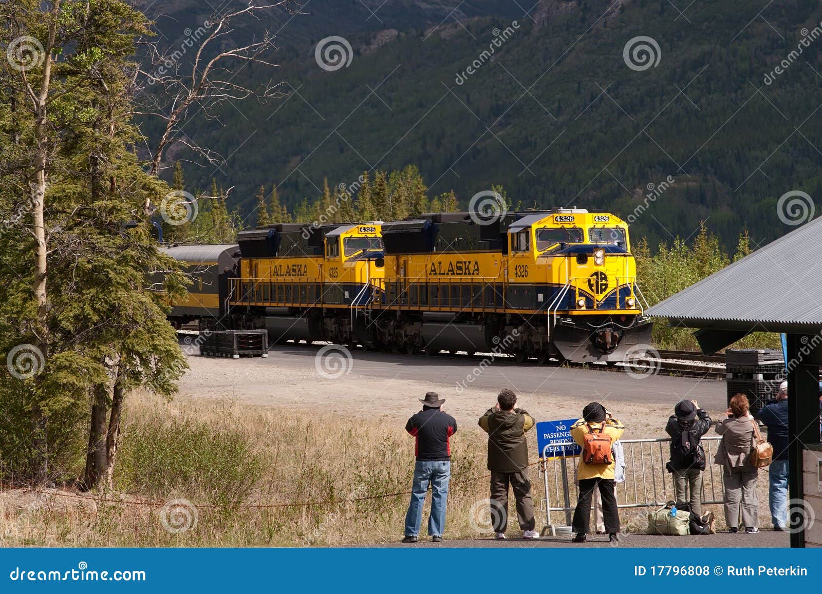 Alaska Rail Road System editorial stock photo. Image of denali - 17796808