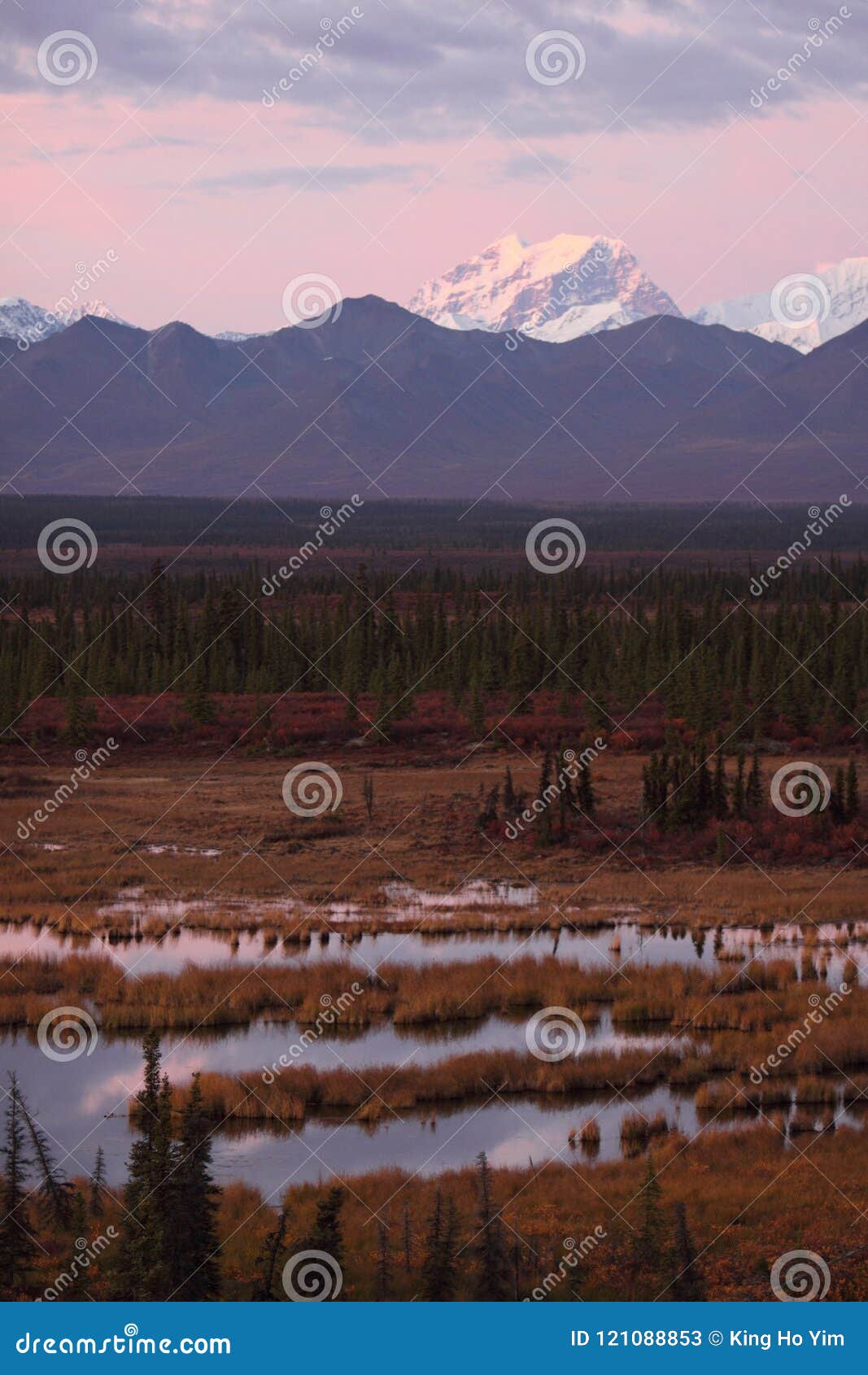 Alaska Range in Denali stock image. Image of horizon - 121088853