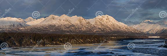 Alaska Range Panorama in Morning Light Stock Photo - Image of land ...