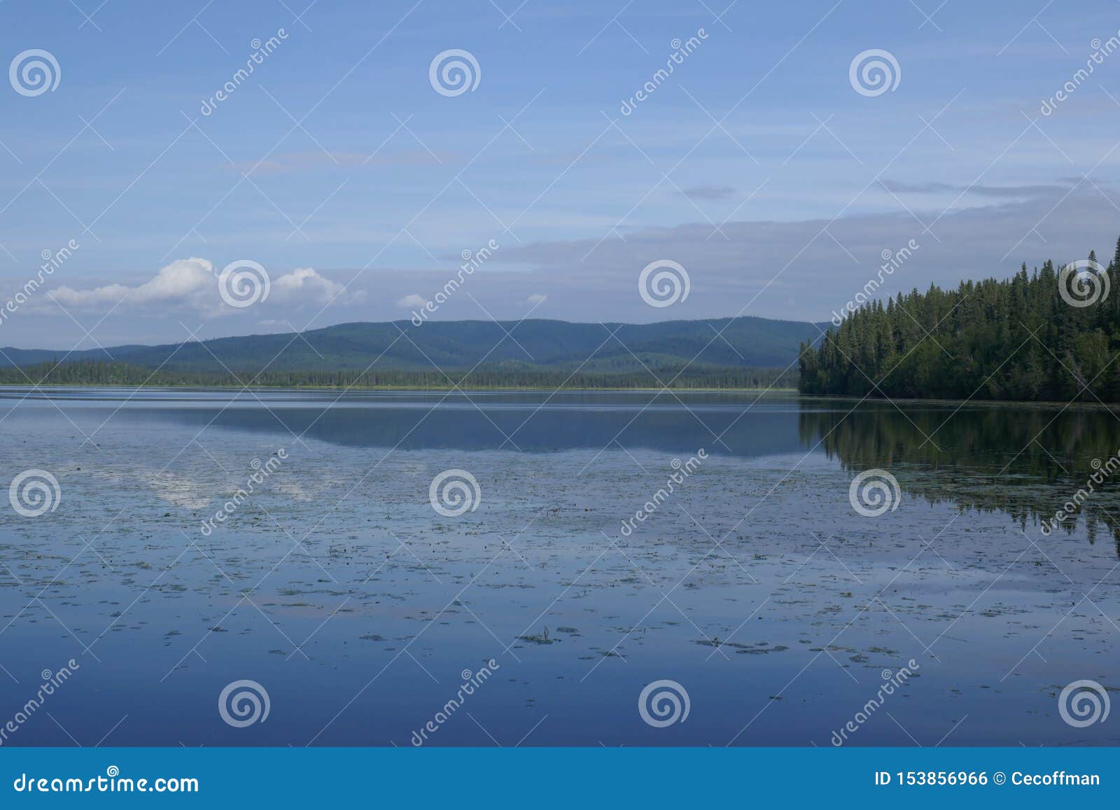 Alaska`s Birch Lake stock photo. Image of hill, vacation - 153856966