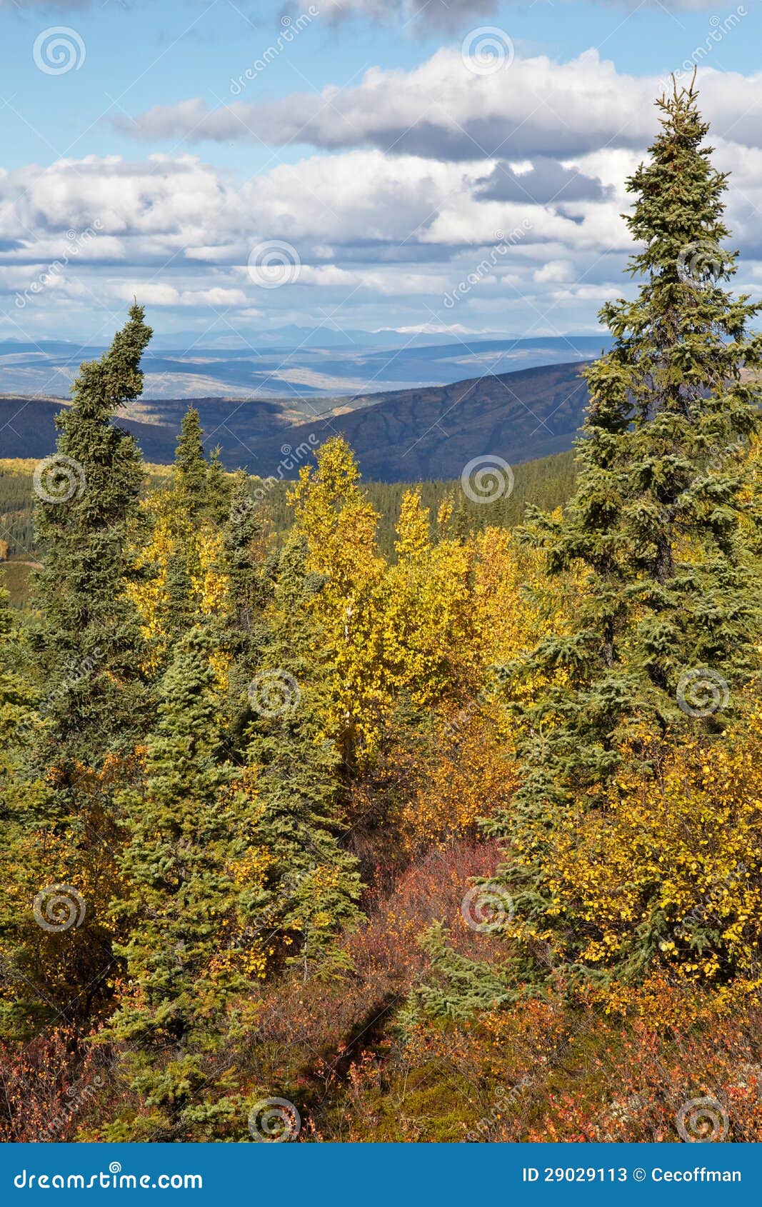 Alaska s Forests in Fall stock image. Image of dome, green - 29029113