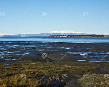 Alaska s Mount Susitna stock image. Image of regions - 21457847