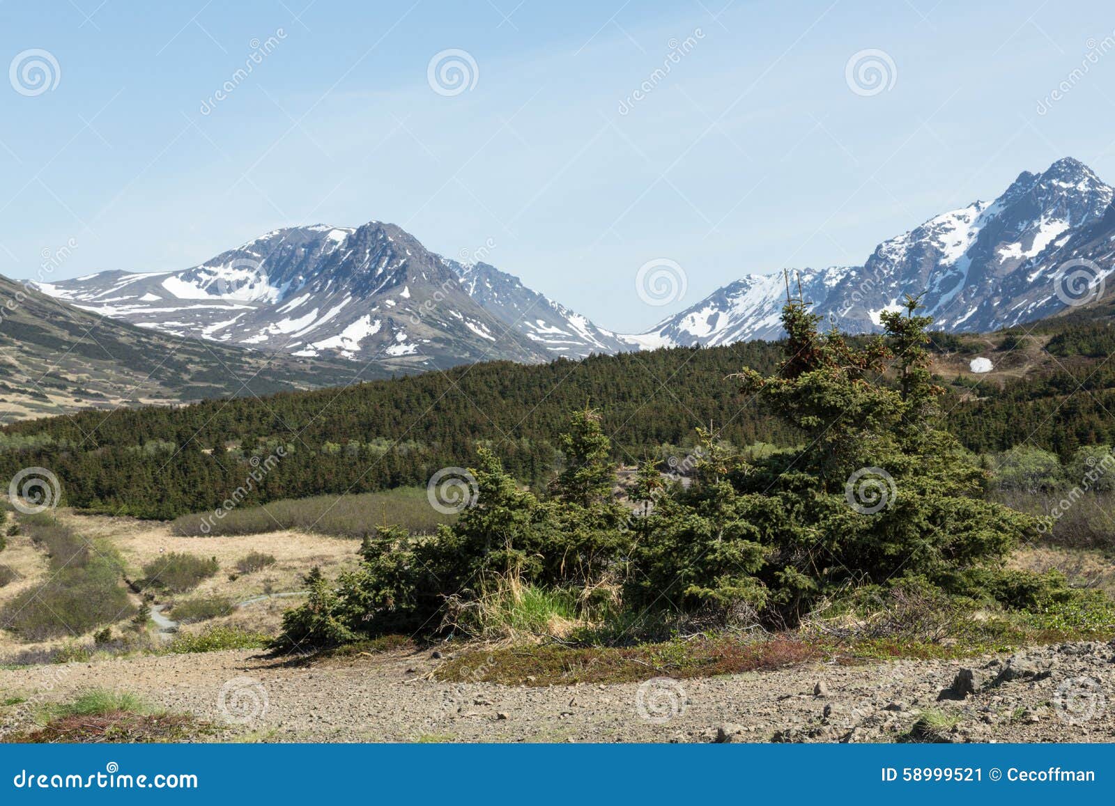 Alaska S Mountains and Forests Stock Image - Image of alaska, anchorage ...