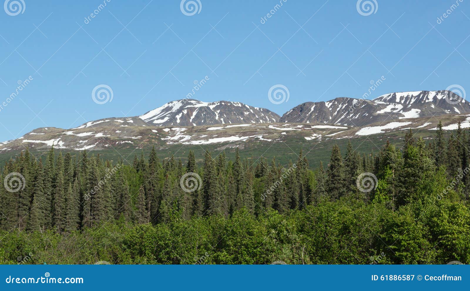Alaska S Mountains and Forests Stock Image - Image of wilderness, tour ...