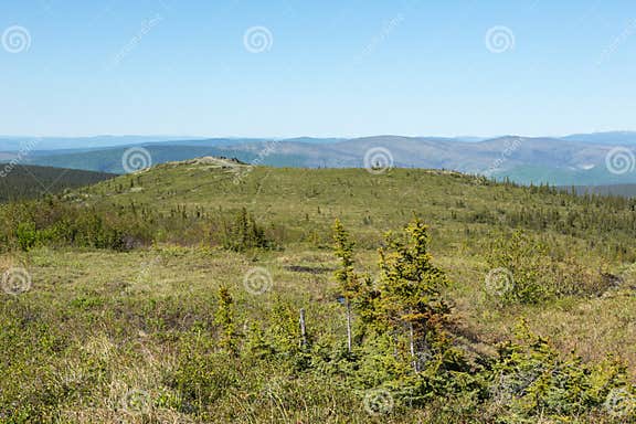 Alaska s Murphy Dome stock image. Image of tourism, arctic - 72187373