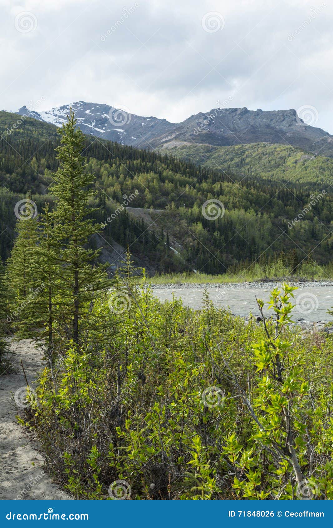 Alaska s Nenana River stock photo. Image of nenana, north - 71848026