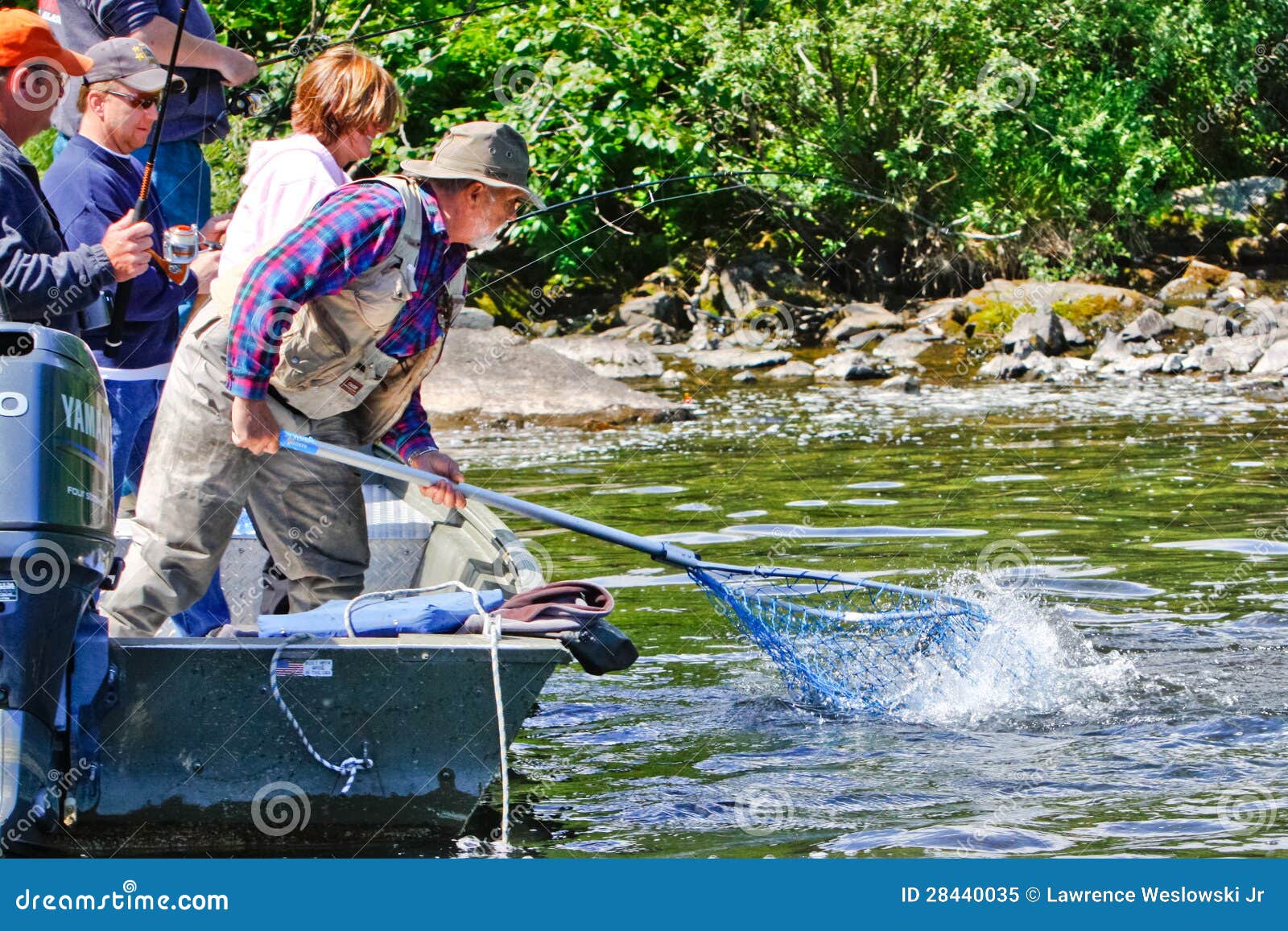 Alaska - Salmon at the Net! Editorial Image - Image of fisherwoman ...
