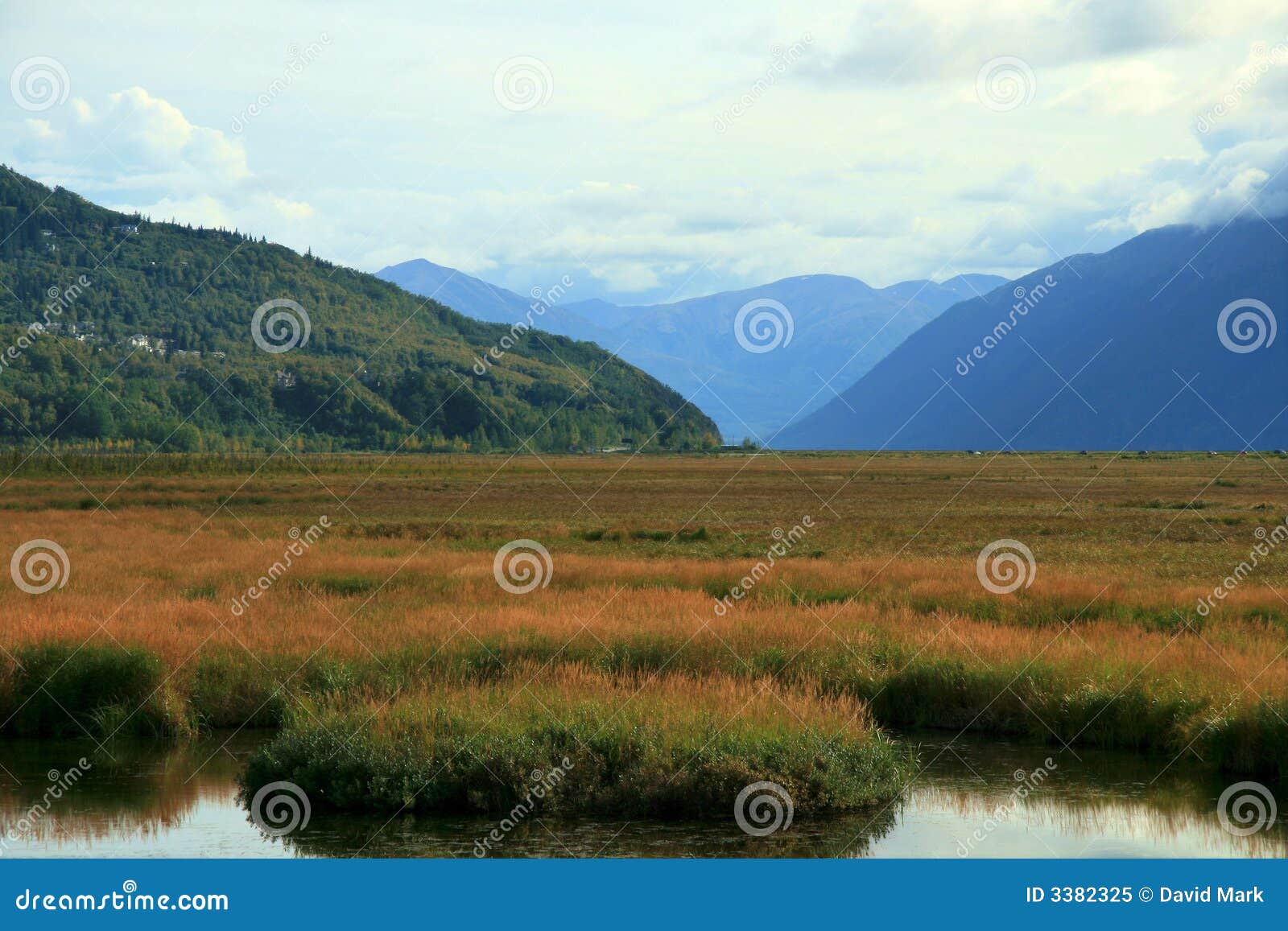 Alaska Stream stock image. Image of lake, peak, geography - 3382325