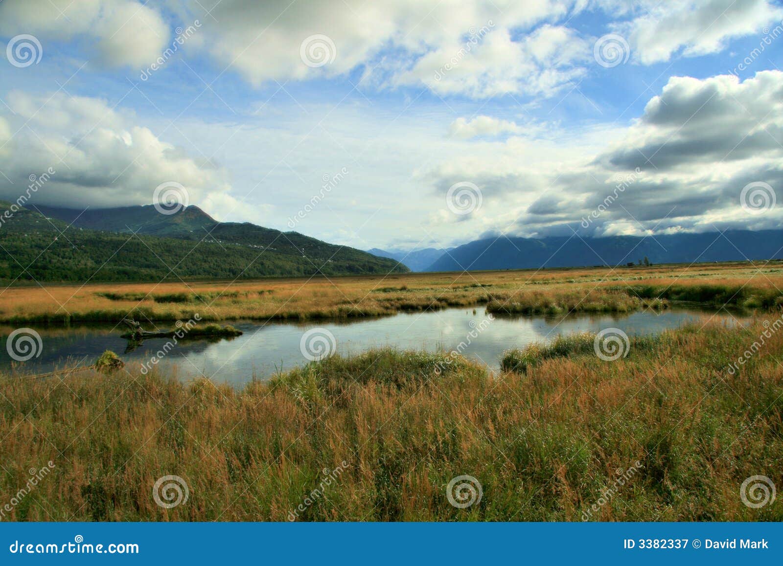 Alaska Stream stock image. Image of clouds, foothill, panorama - 3382337