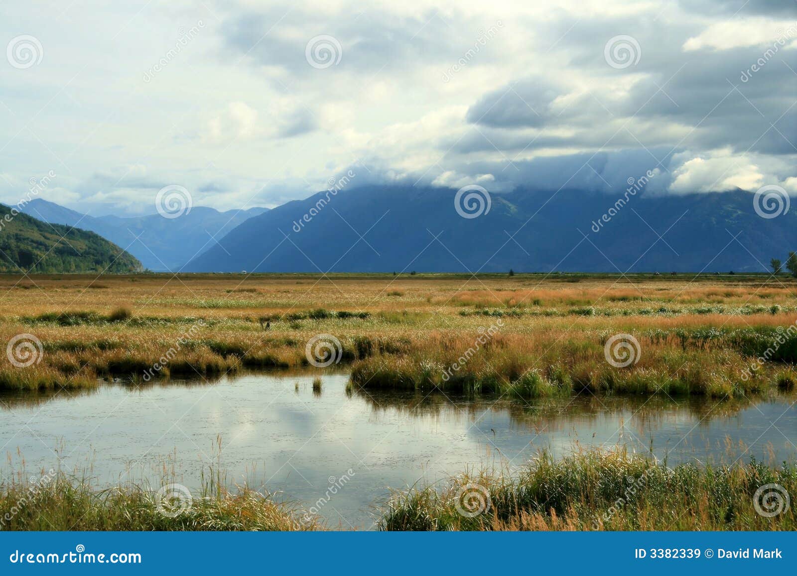 Alaska Stream stock image. Image of pond, foothill, alaska - 3382339