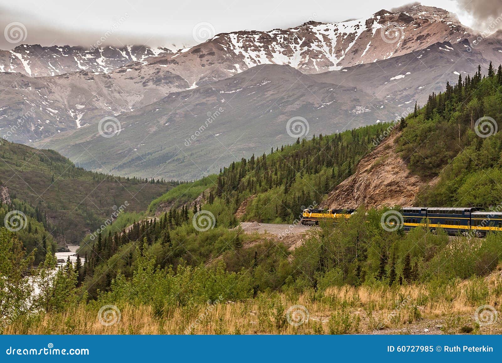 Alaska Train stock image. Image of freight, cloudy, scenic - 60727985