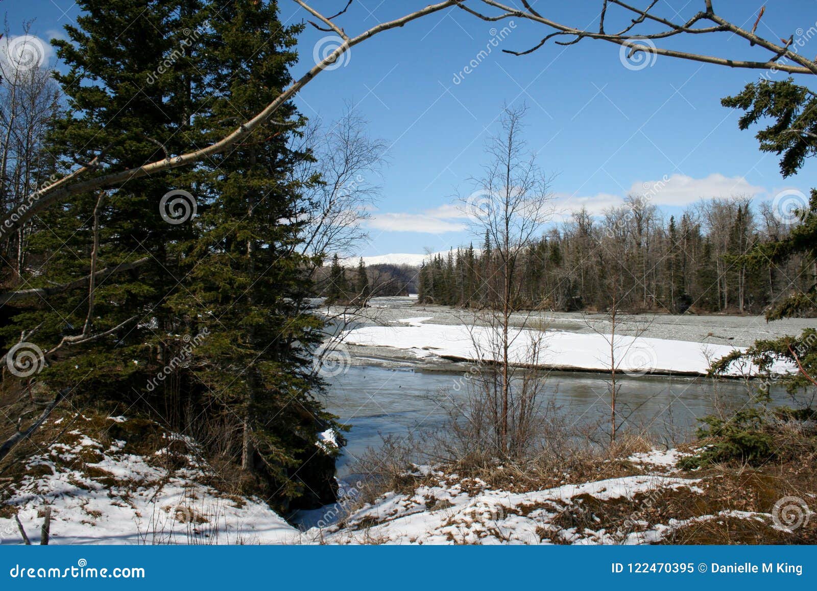 Alaska Trees and River in Snow Stock Image - Image of america, united ...