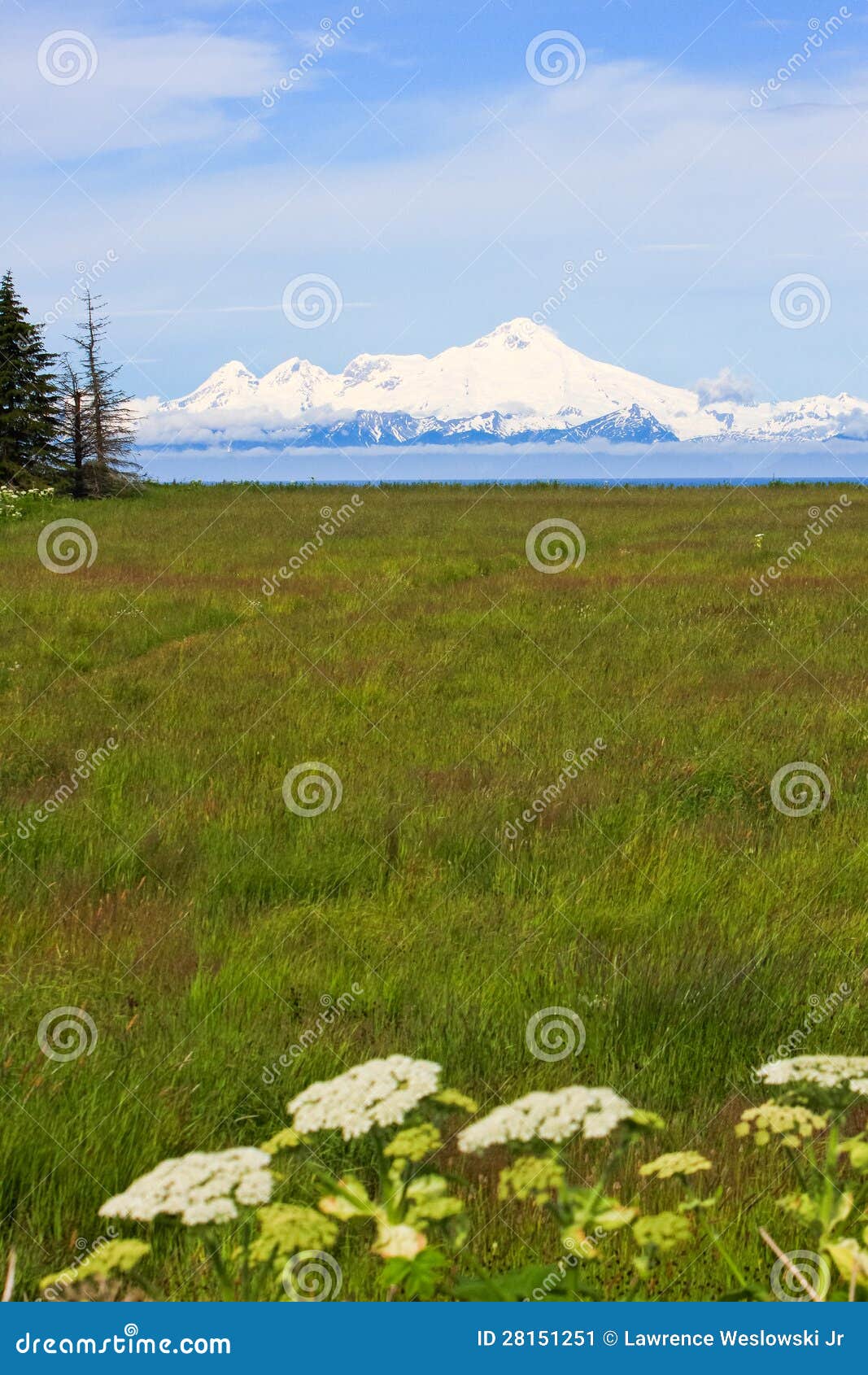 Alaska Iliamna Volcano Stock Photos - Free & Royalty-Free Stock Photos ...
