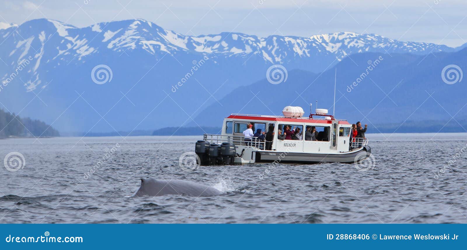 Alaska - Walvis Die Kleine Boot Achtervolgen Redactionele Foto - Image ...