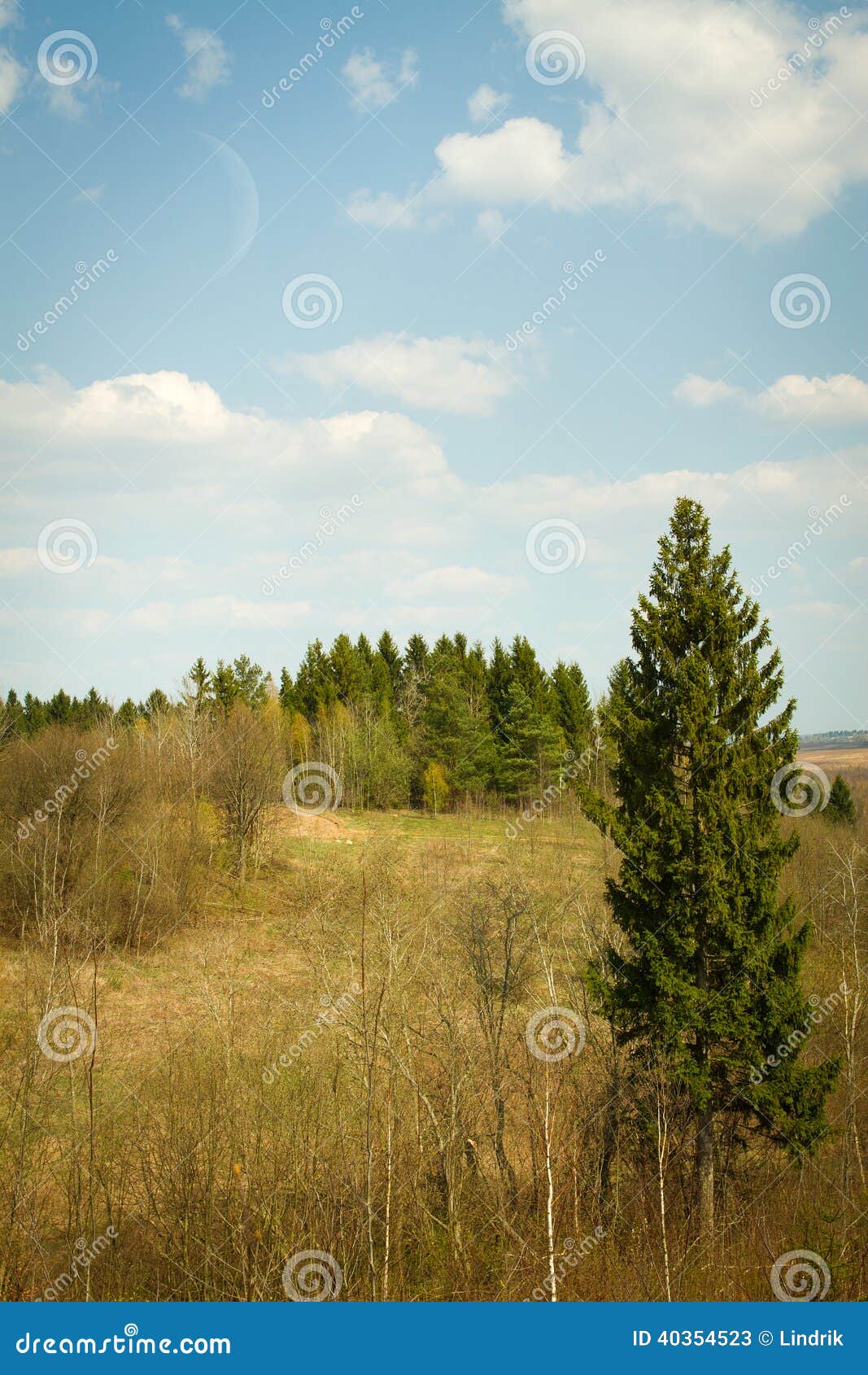 Alaska woods and hills stock image. Image of hills, hiking - 40354523