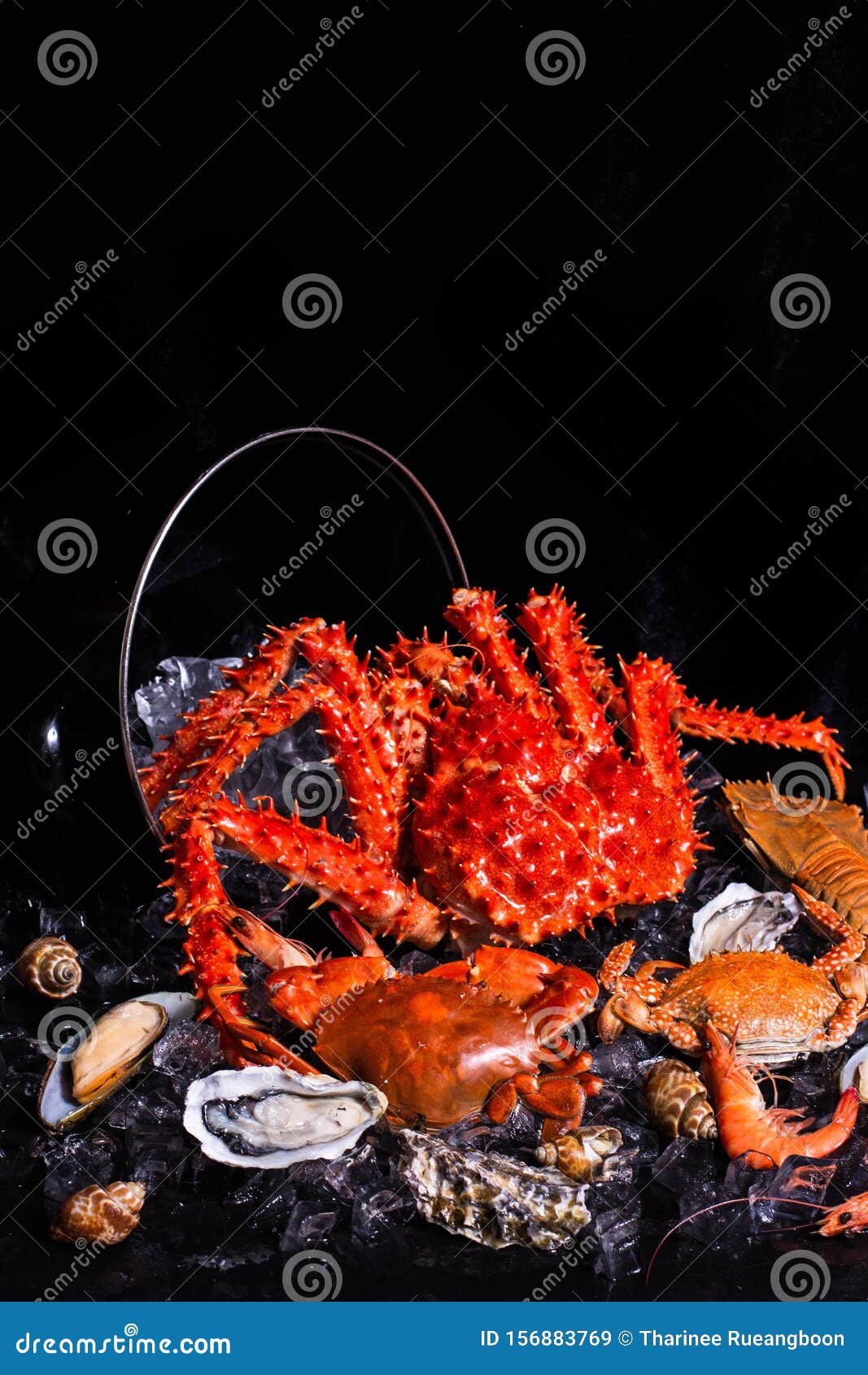 Alaskan King krab op ijs stock afbeelding. Image of alaskan - 156883769