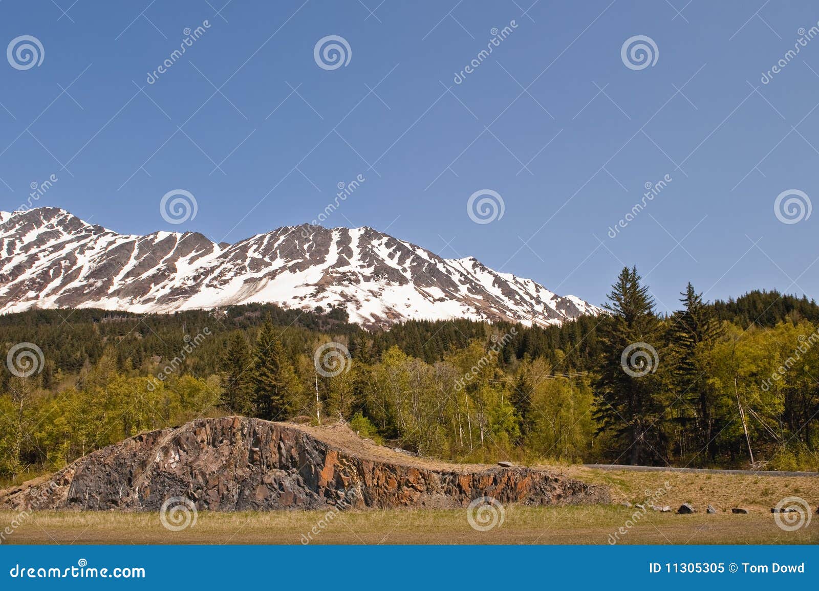 Alaskan landscape stock image. Image of america, countryside - 11305305