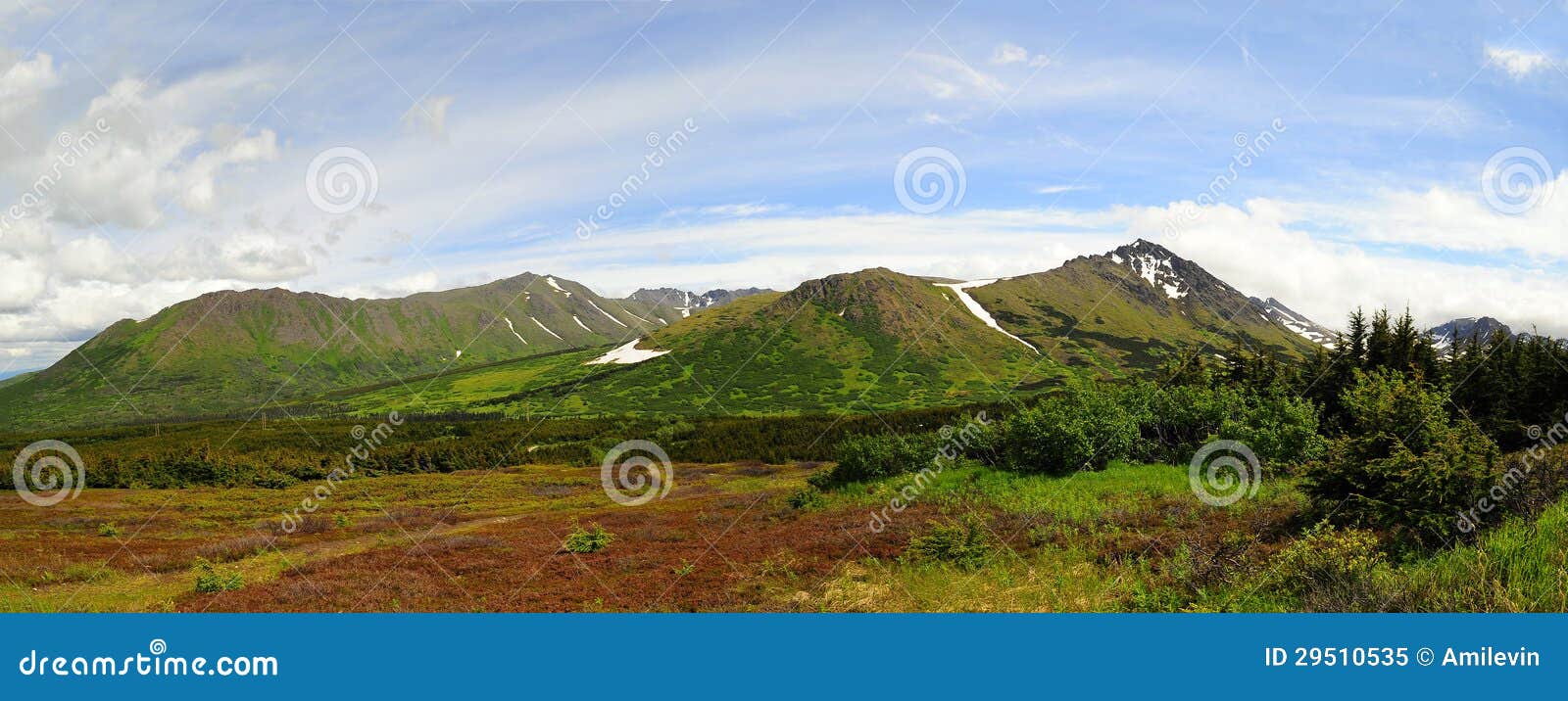 Alaskan Mountain Panoramic View Editorial Image - Image of grassy ...