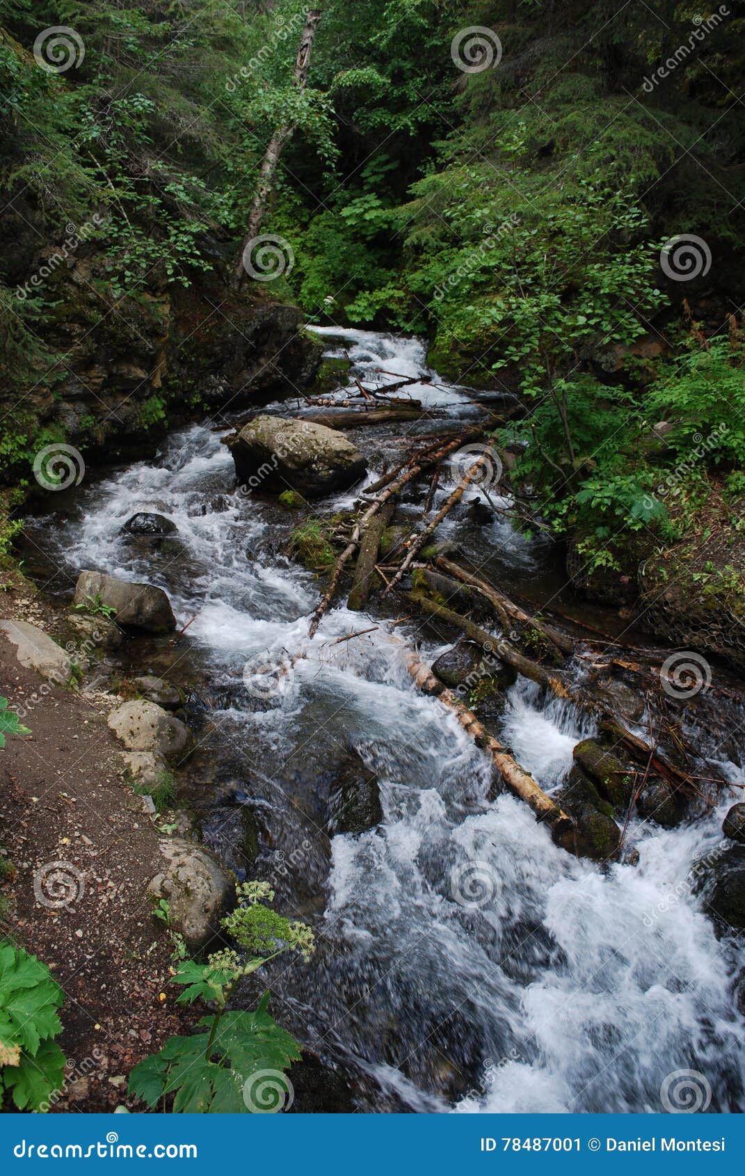 Alaskan Mountain stream stock image. Image of river, alaskan - 78487001