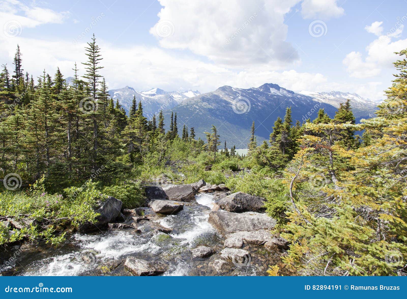 Alaskan Mountain Stream stock image. Image of travel - 82894191