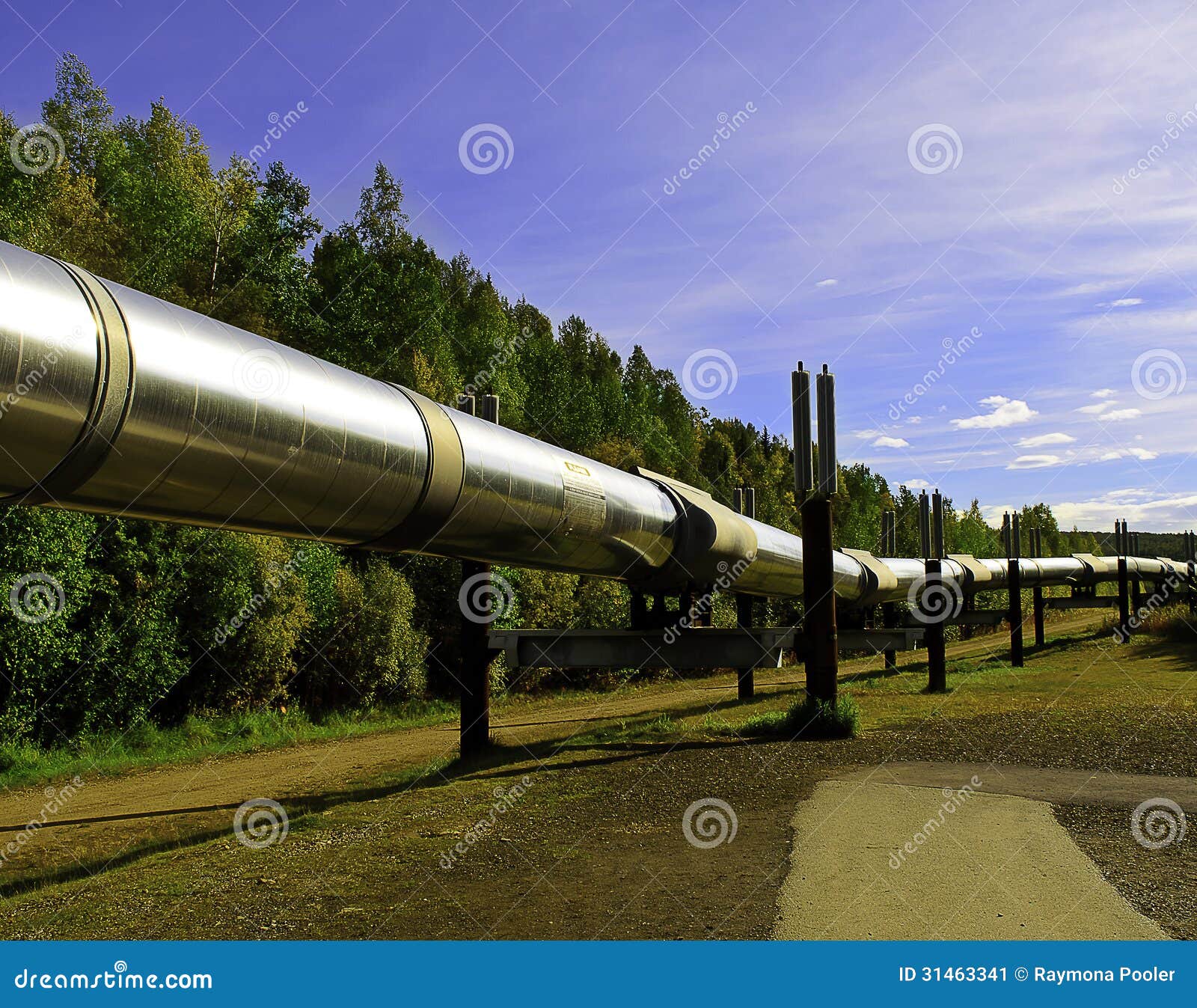 Alaskan oil pipeline stock image. Image of heat, hill - 31463341