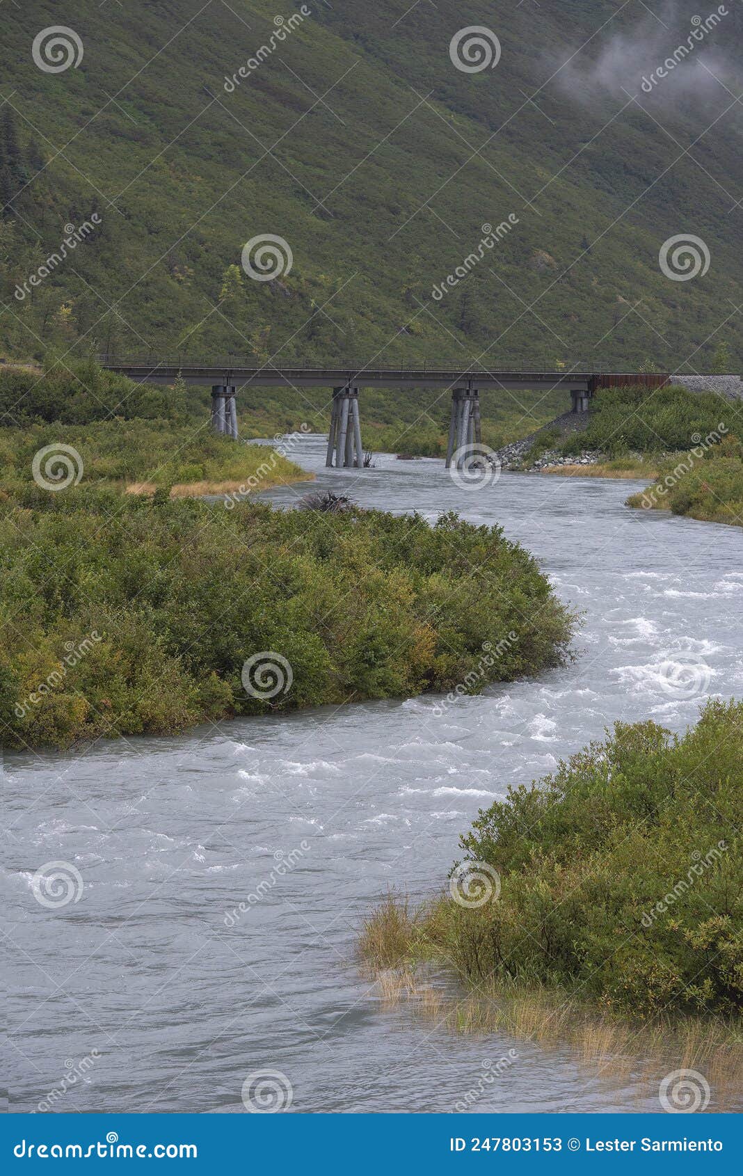 An Alaskan River stock image. Image of river, alaskan - 247803153