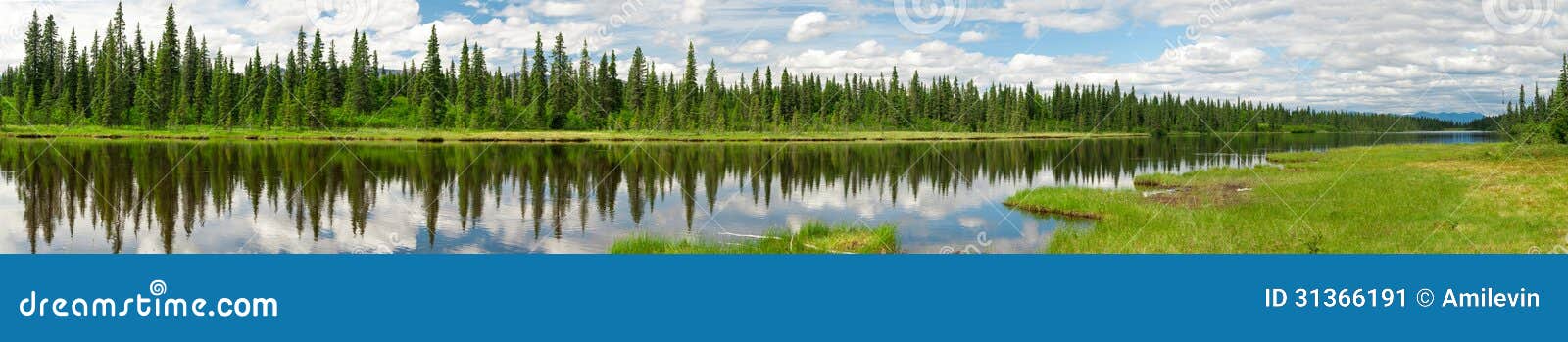 Alaskan river stock image. Image of trees, clouds, amazing - 31366191