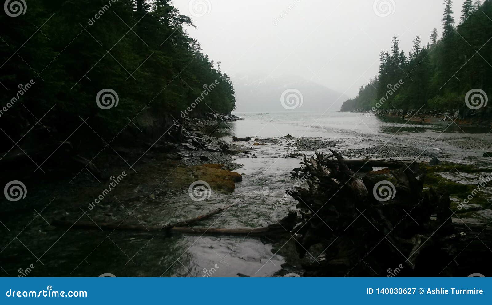 Alaskan Stream stock image. Image of mountain, stream - 140030627