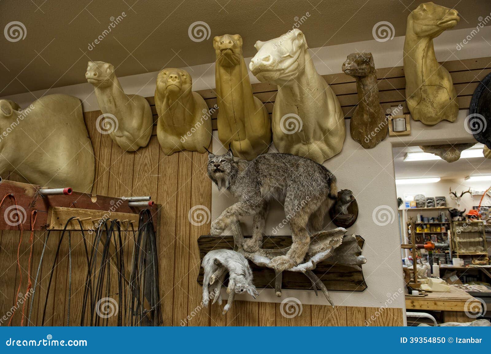 Alaskan Taxidermy shop stock photo. Image of tourism - 39354850
